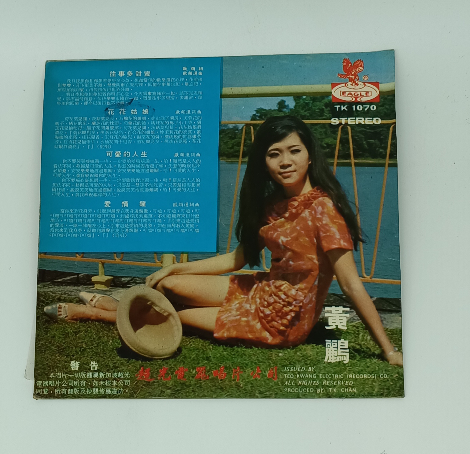 Vinyl Record Wong Li: Wan Shi Duo Tian Mi - Singapore Pickers