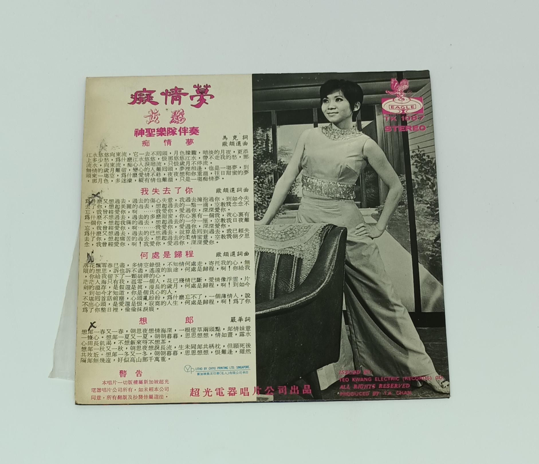 Vinyl Record Wang Li: Ci Qing Meng - Singapore Pickers